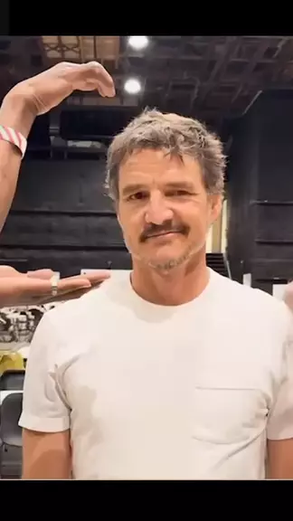 Pedro_Collor | Discover