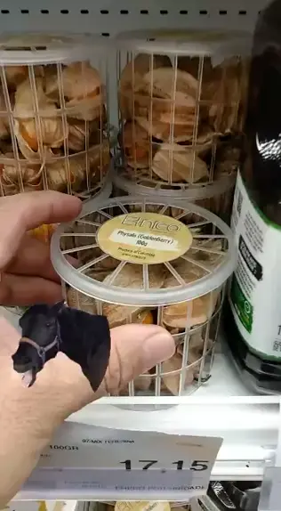 canan asmr nico nico & canan asmr nico| Discover