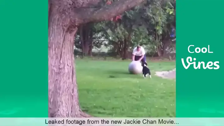 chanco leaks cat | Discover