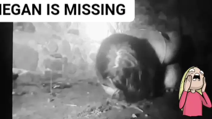 fotos reales de megan is missing - megan is missin ...| Kwai