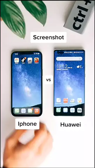 fake screenshot phonepe balance