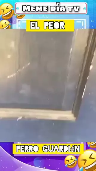 perro en llamas meme