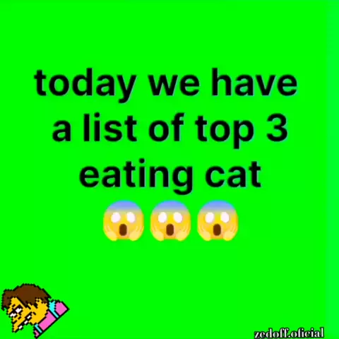 cat meme pfpf